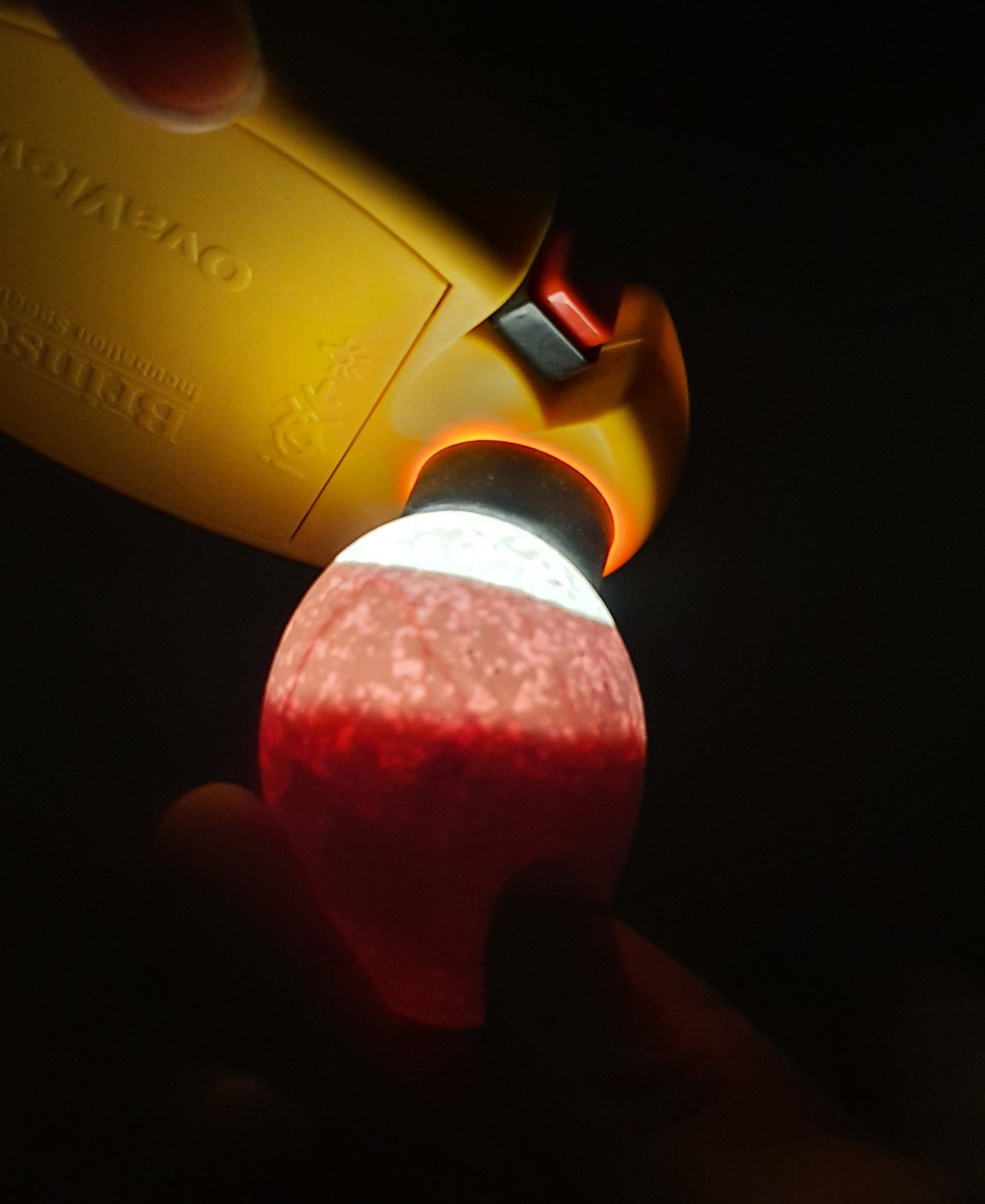 Porous shelled fertile eggs - Does it hatch? - Pip & Grow