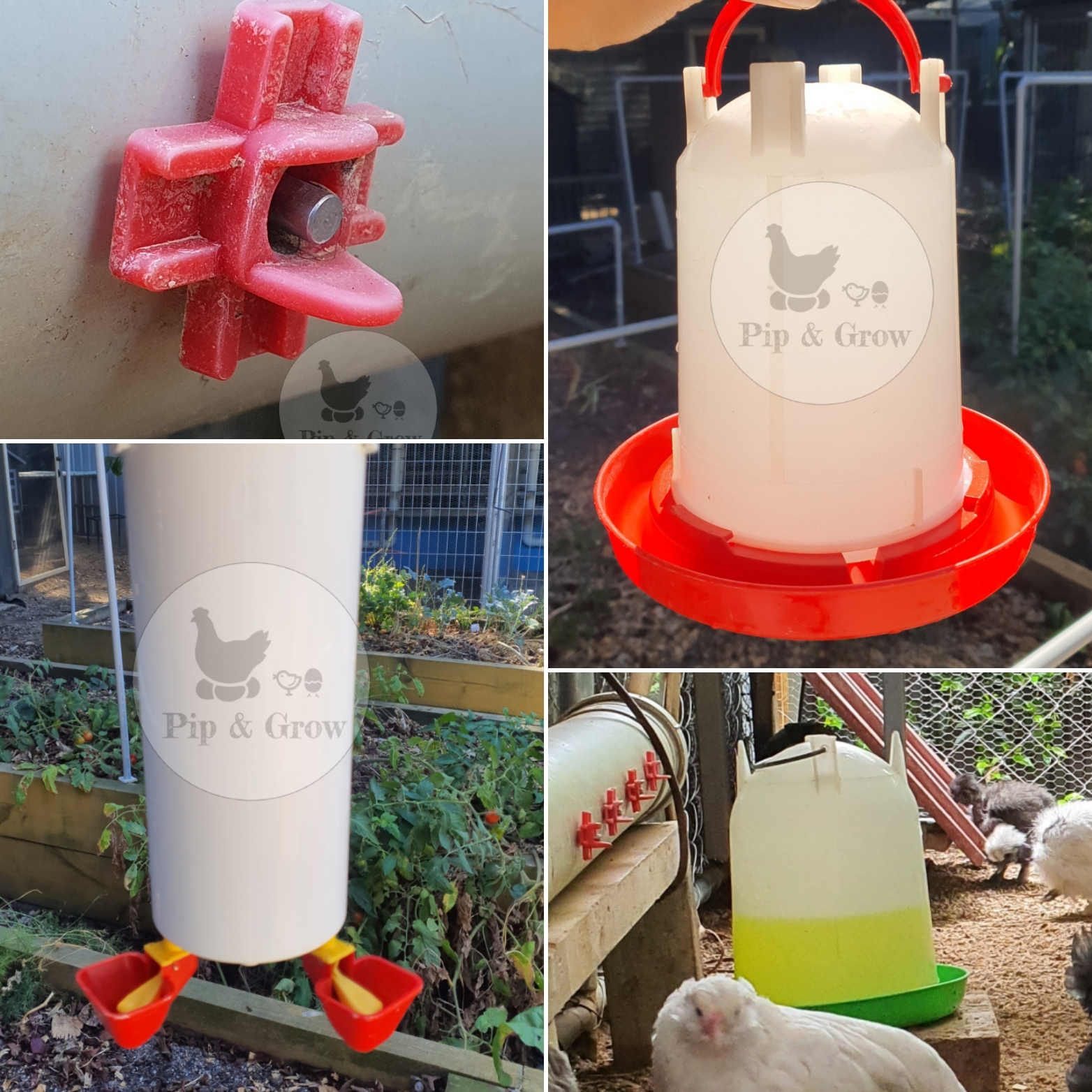 Waterers : Pros and Cons - Pip & Grow