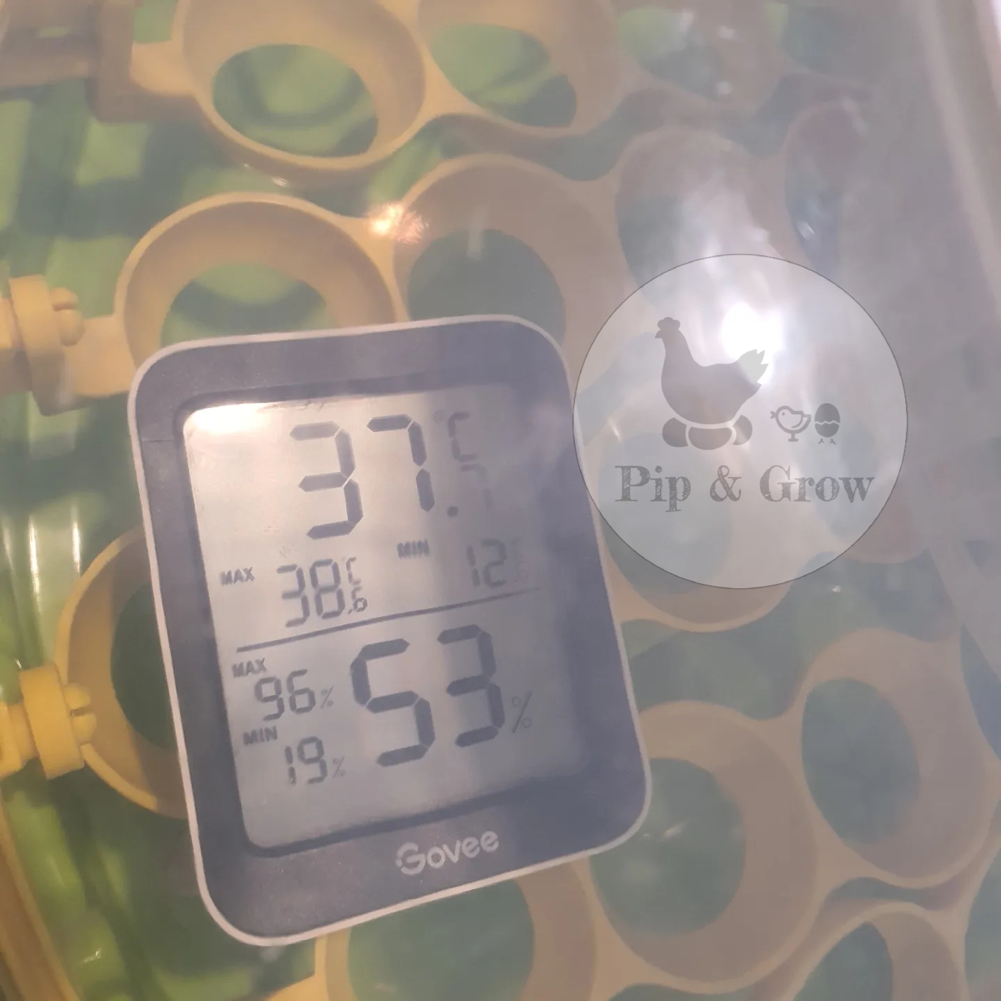 Using an Incubator - Pip & Grow