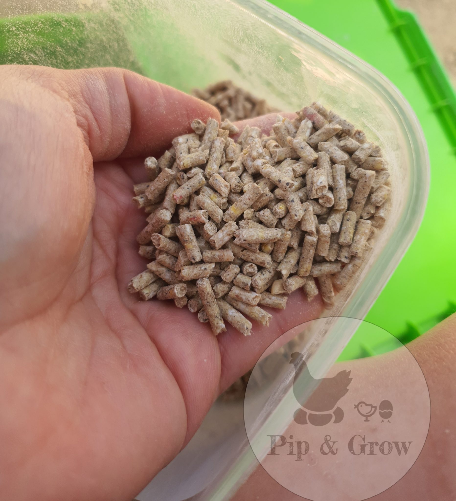 Chicken Feed 101 - Pip & Grow
