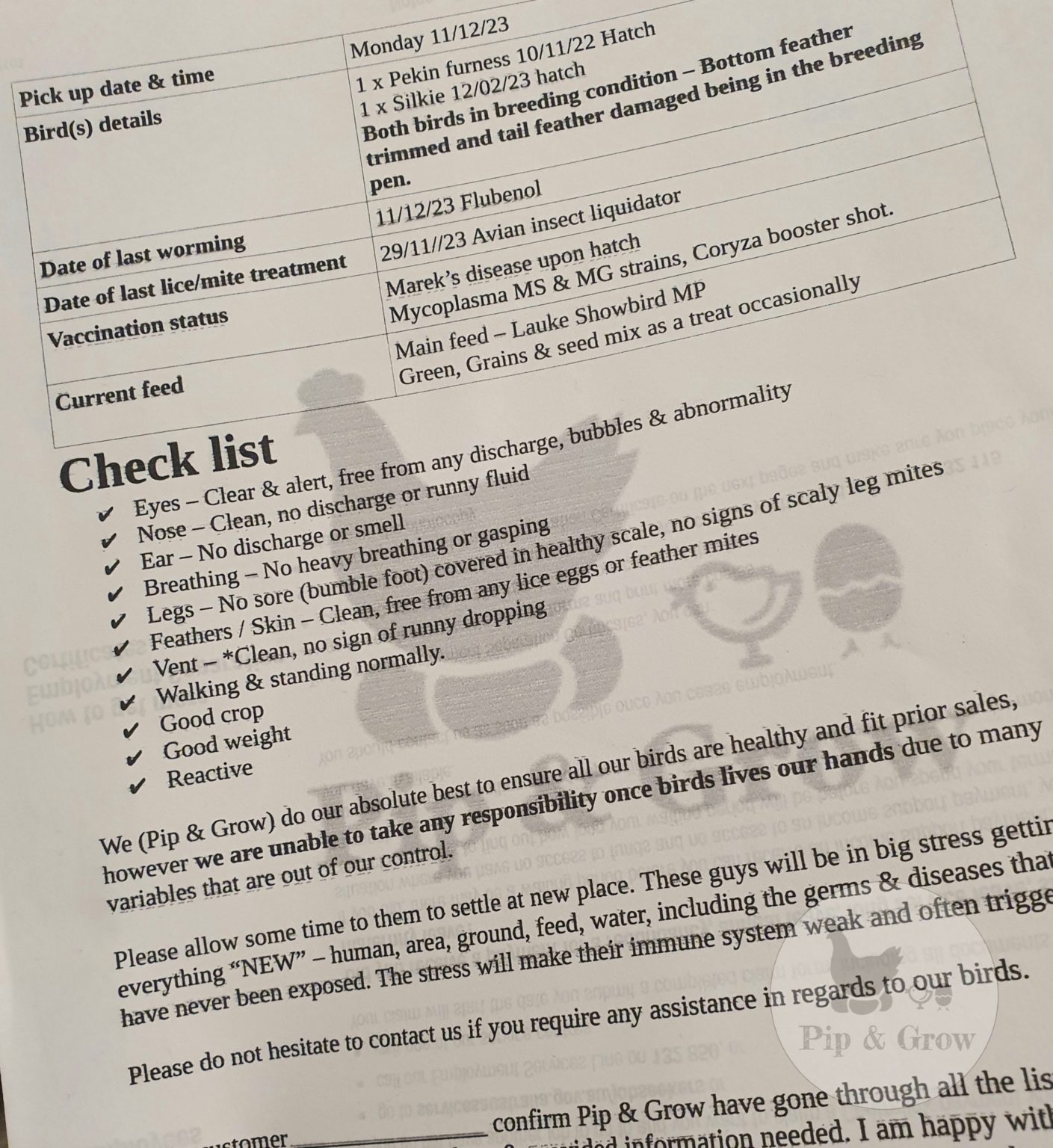 Buying New chickens? Health Check Lists - Pip & Grow