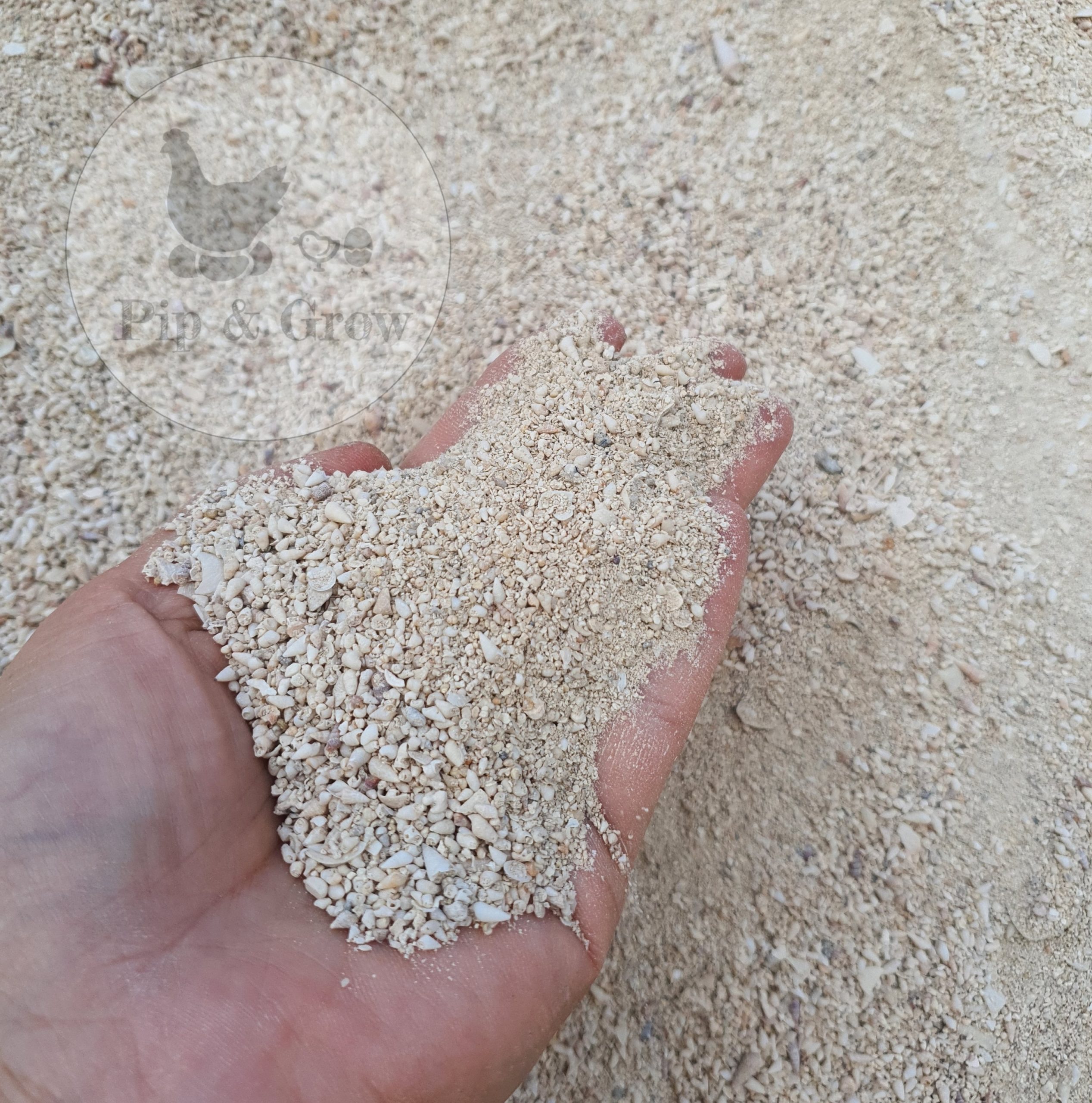 Chicken Coop Part 2. Coop Location & Bedding - Pip & Grow