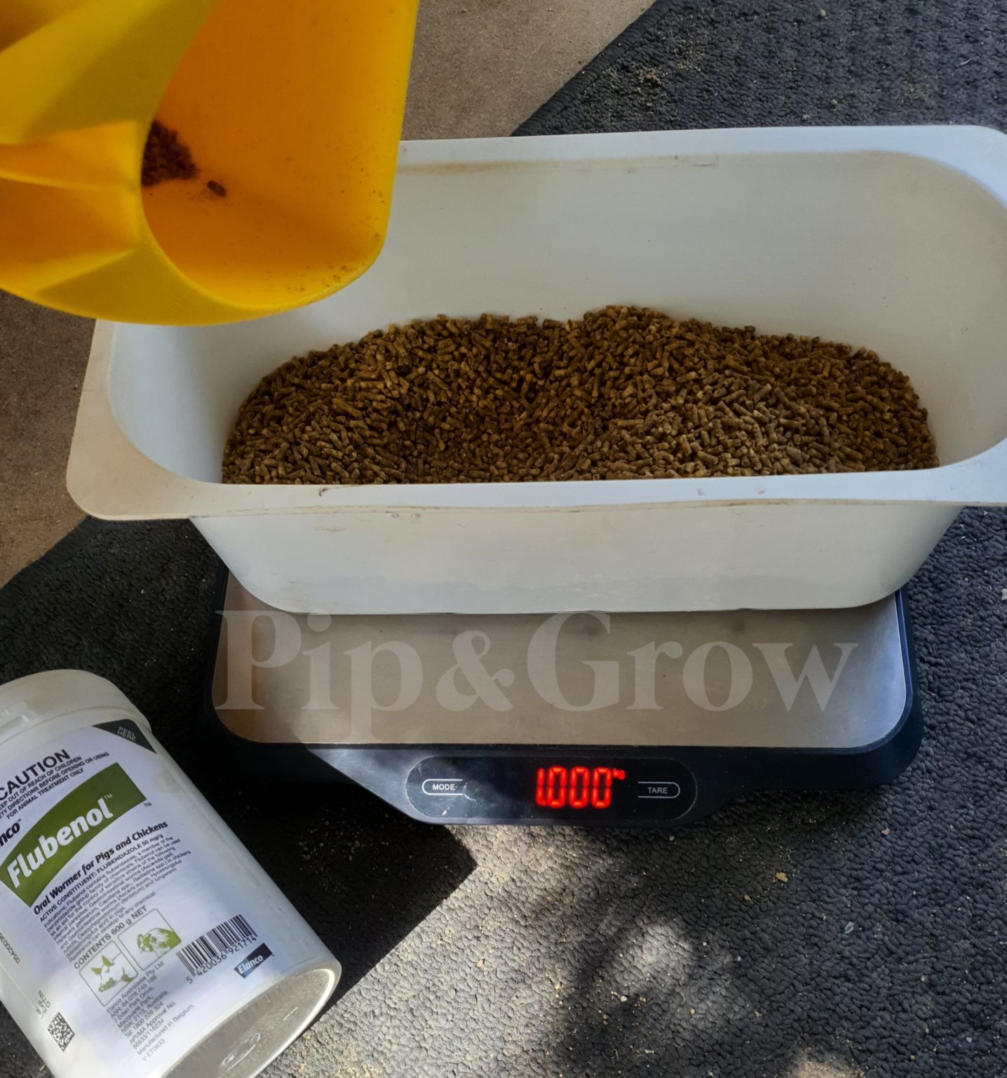 How we use Flubenol Wormer - Pip & Grow