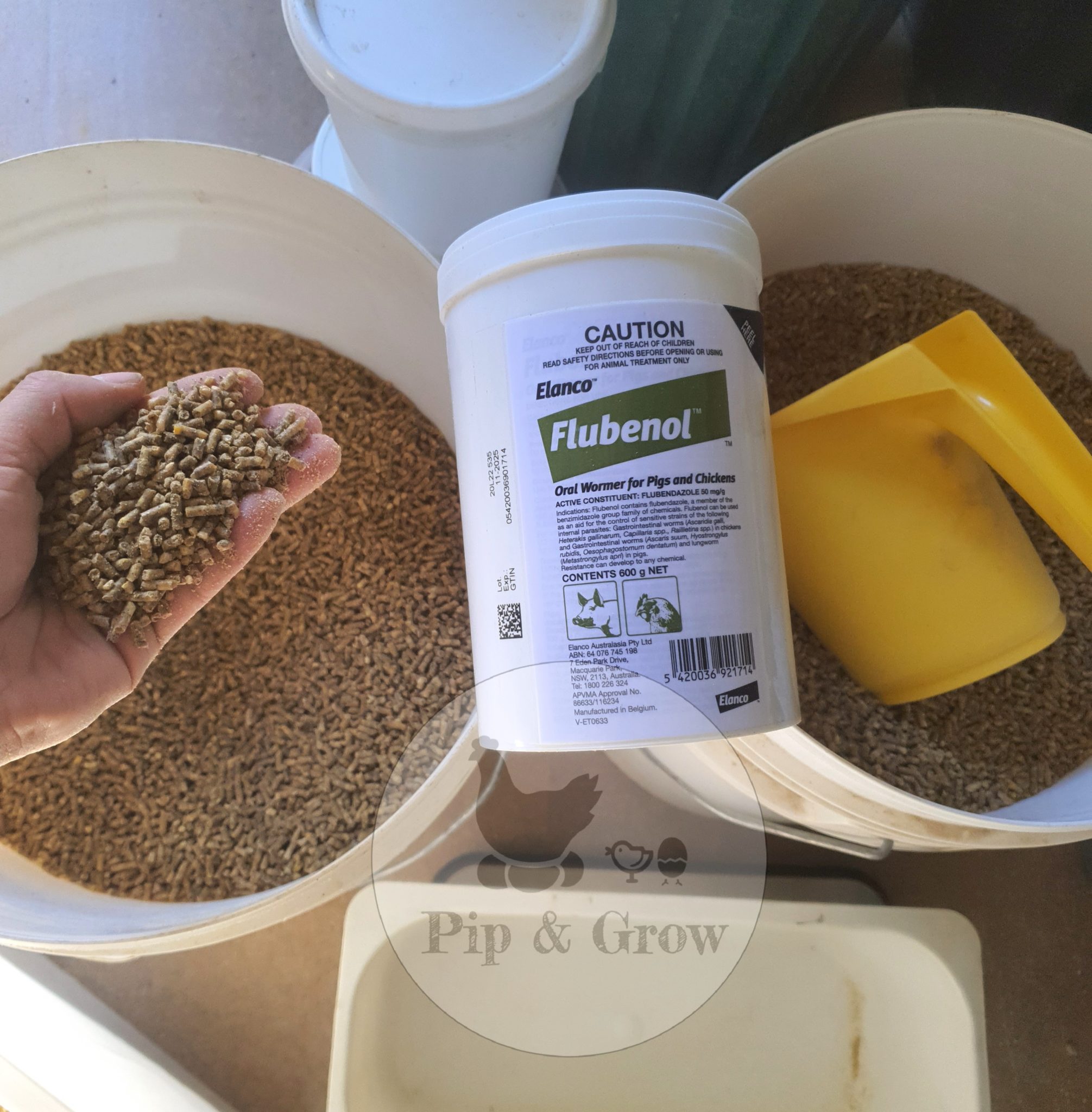 How we use Flubenol Wormer - Pip & Grow