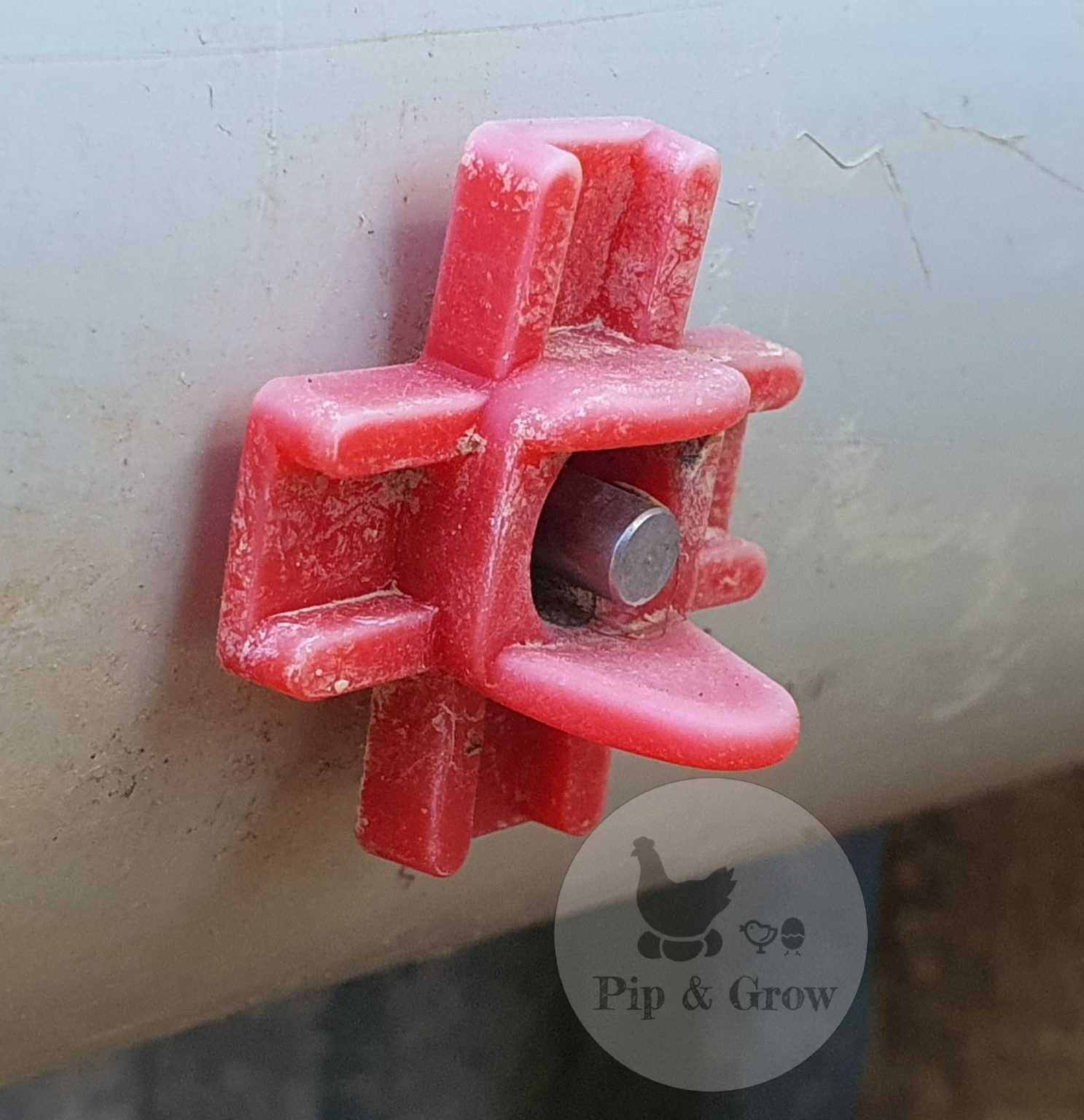 Waterers : Pros and Cons - Pip & Grow