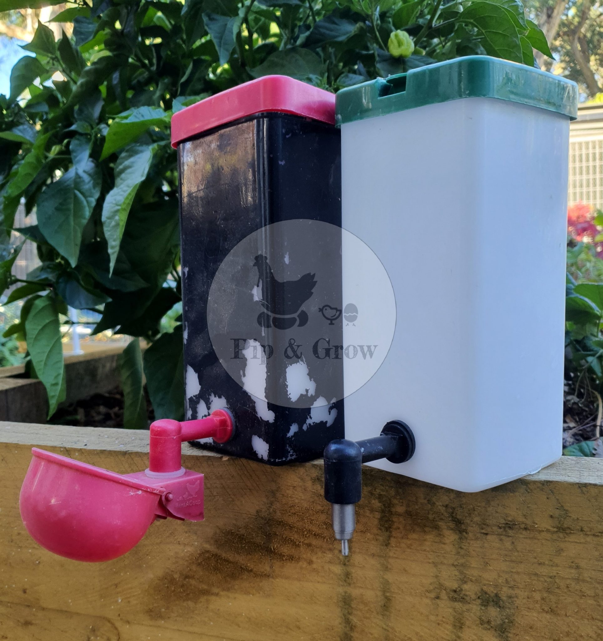 Waterers : Pros and Cons - Pip & Grow