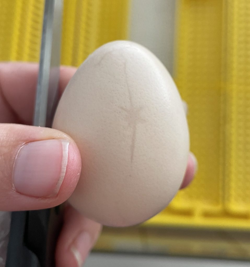 Damaged On Arrival Guarantee - Pip & Grow