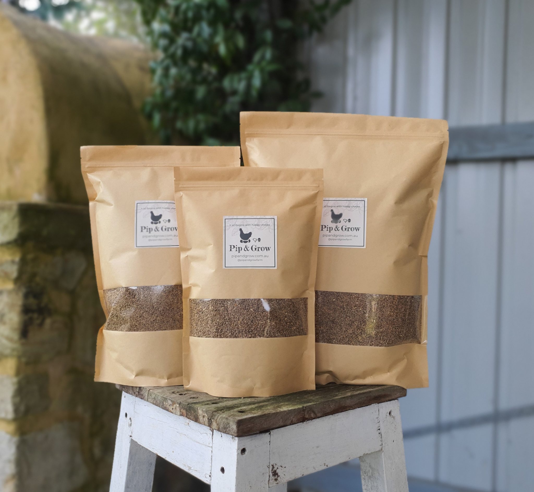 Heritage Fertile Eggs, Chicks and Chickens - Pip & Grow