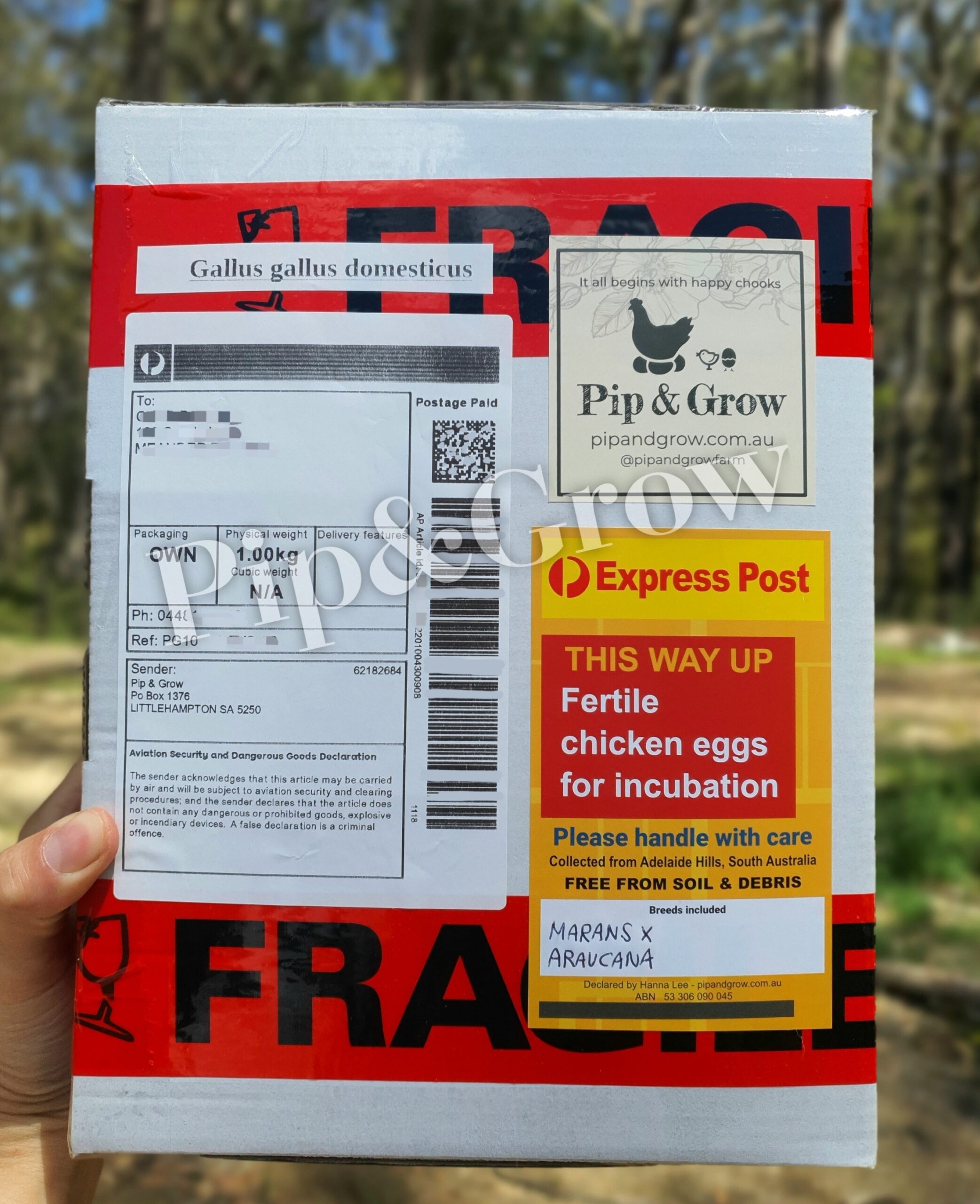 Western Australia Orders - Pip & Grow