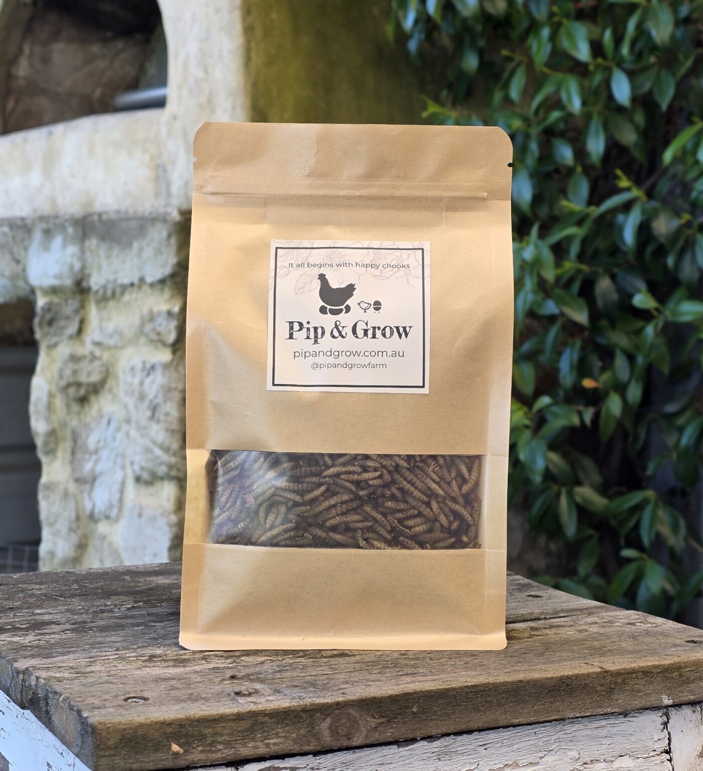 Dried Black Soldier Fly Lavae - Pip & Grow