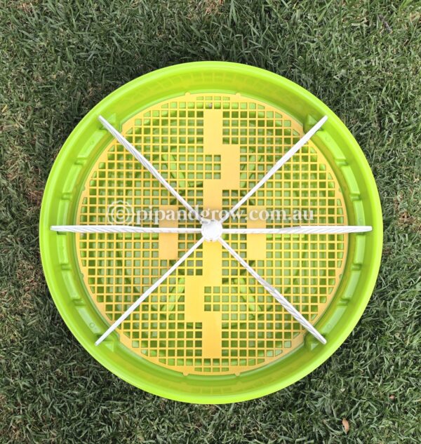 Greatlander Offspring Hatching Divider - Pip & Grow