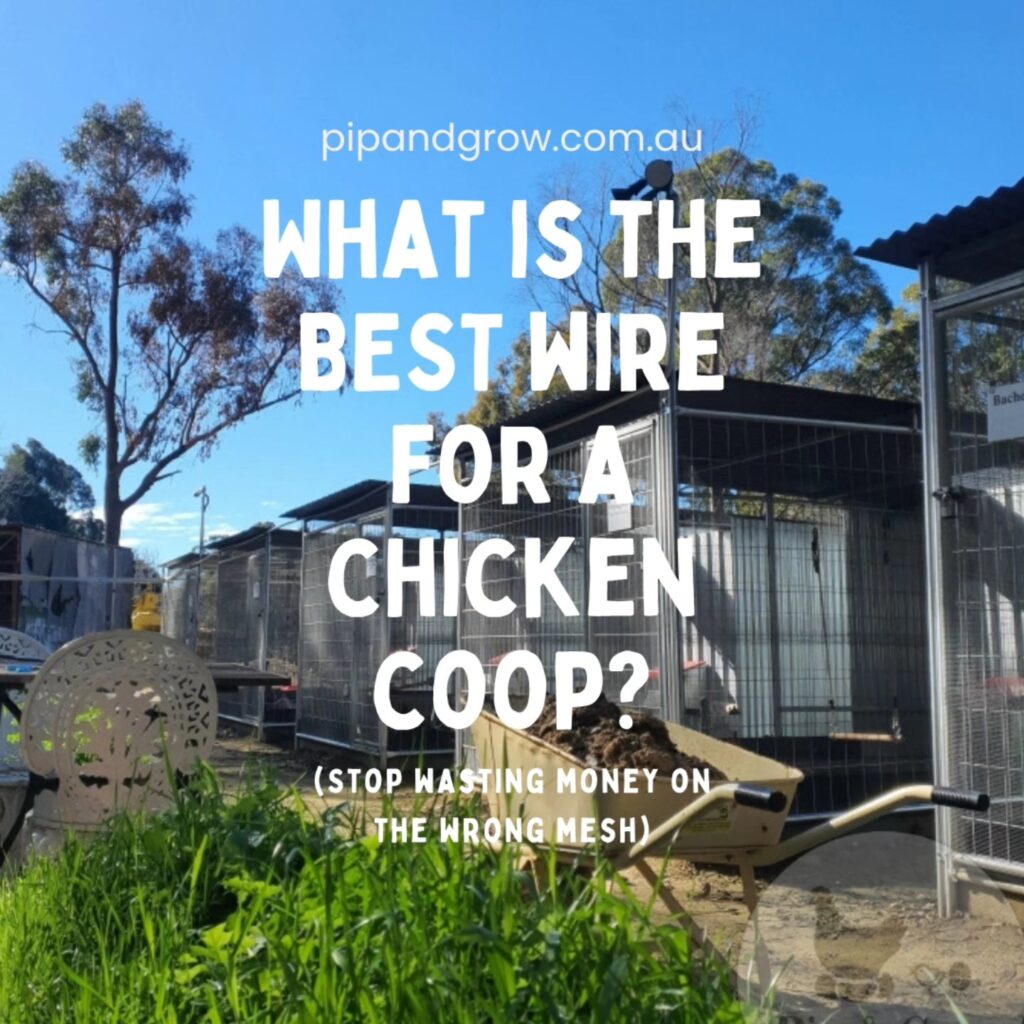The Best Wire For Chicken Coop? - Pip & Grow