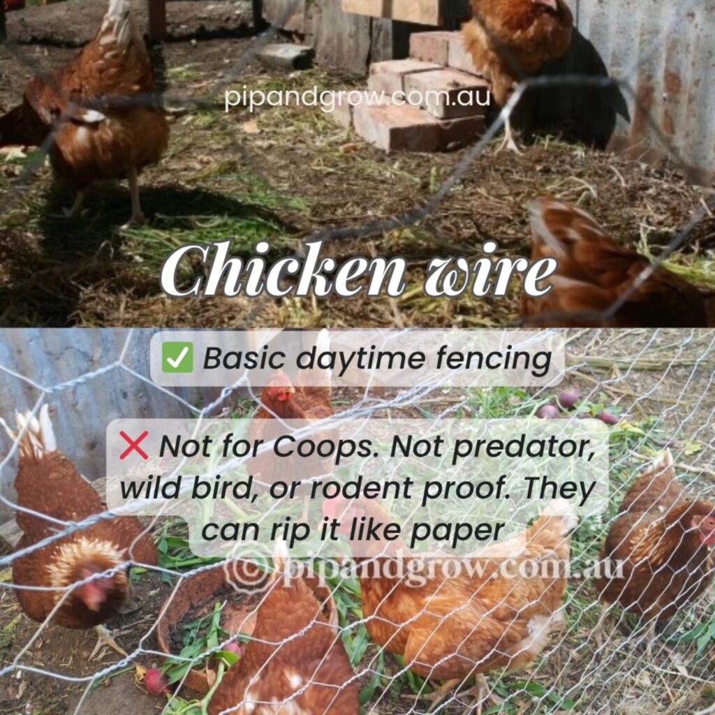 The Best Wire For Chicken Coop? - Pip & Grow