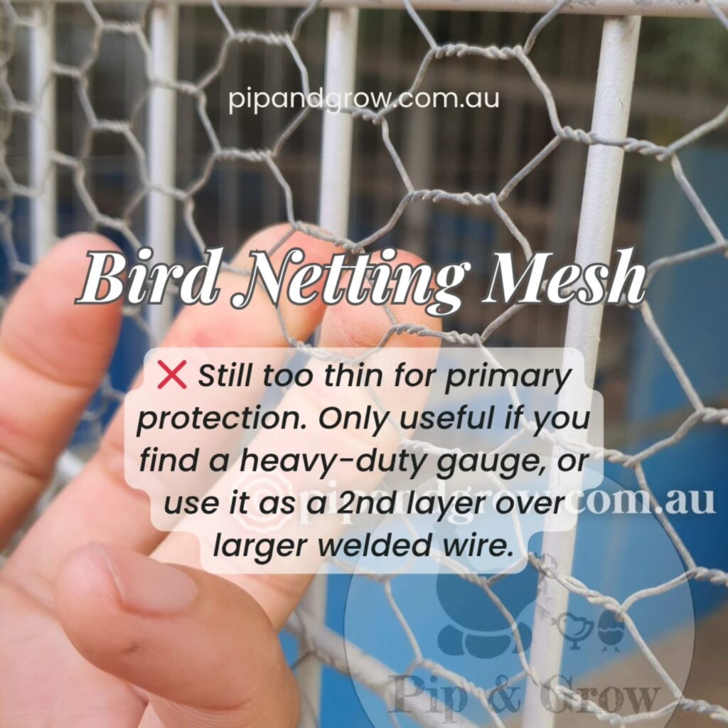 The Best Wire For Chicken Coop? - Pip & Grow